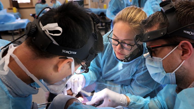 Cadaver dissection courses and head and neck surgery - Associate ...